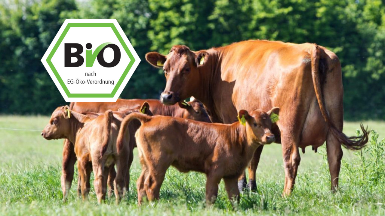 Ab sofort sind wir ein Bio-Betrieb! - Angushof Müller